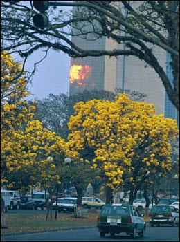 "Crítica Política": El Plan Bohan (1942) y la “Marcha Hacia El Oriente”
